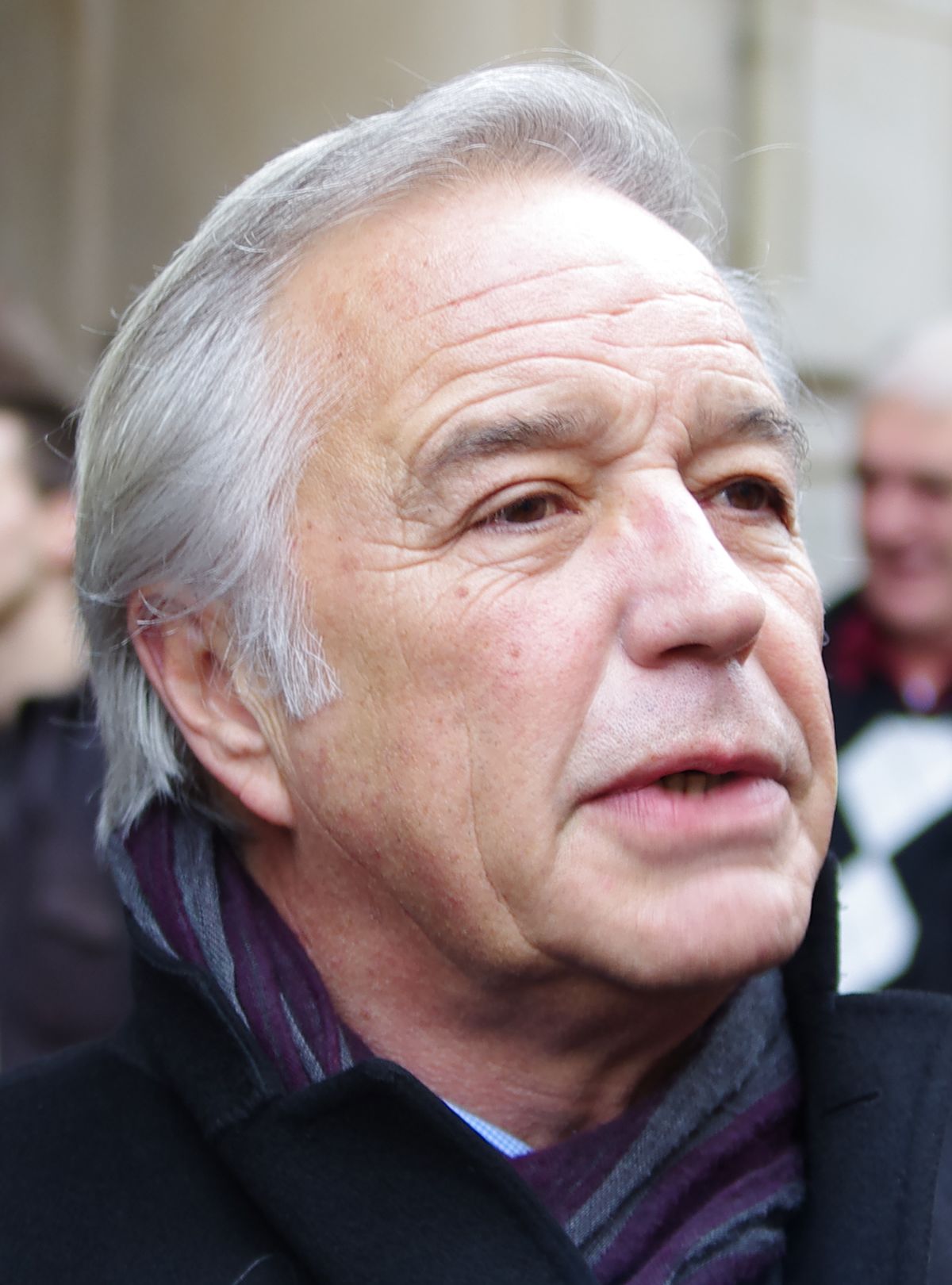 François Rebsamen Ville Natale, Valeur Nette, Partenaire, Enfants ...